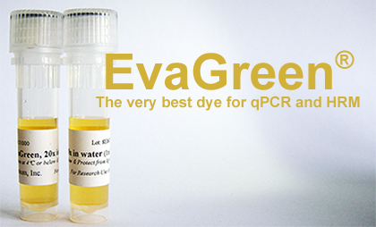 eva green dye for real time pcr